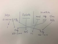 A Beginners' Guide to x86-64 Instruction Encoding - SysTutorials